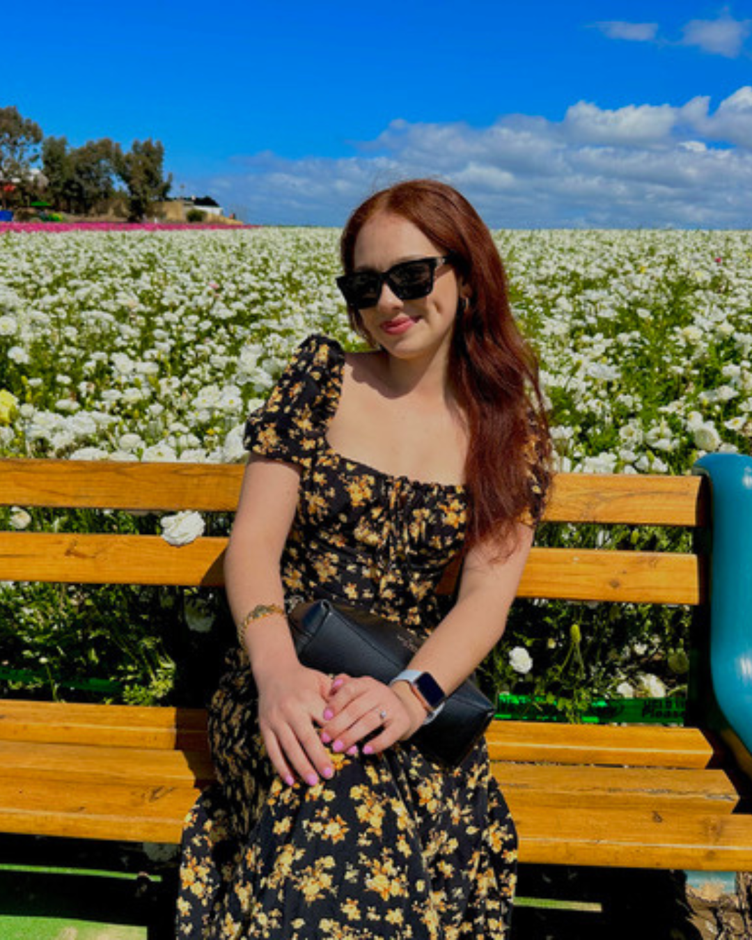 Associated Students, CSUF | The Associated Students Elevate ASI