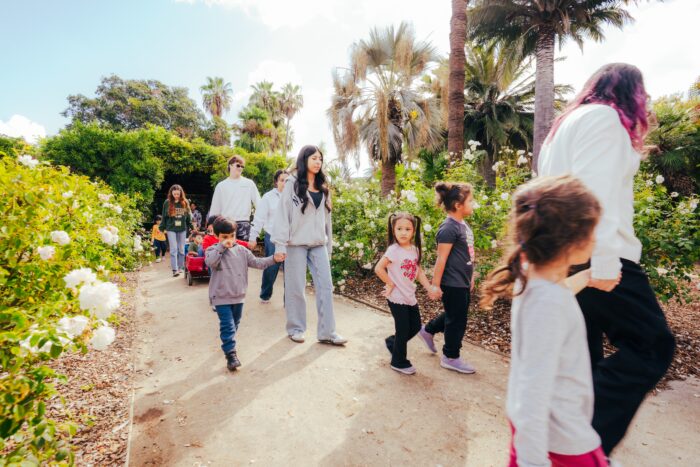 Associated Students, CSUF | Sunshine in the Forest: The Children’s ...